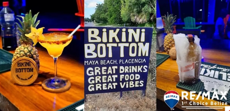 Buy a Bikini Bottom Restaurant & Bar In Maya Beach